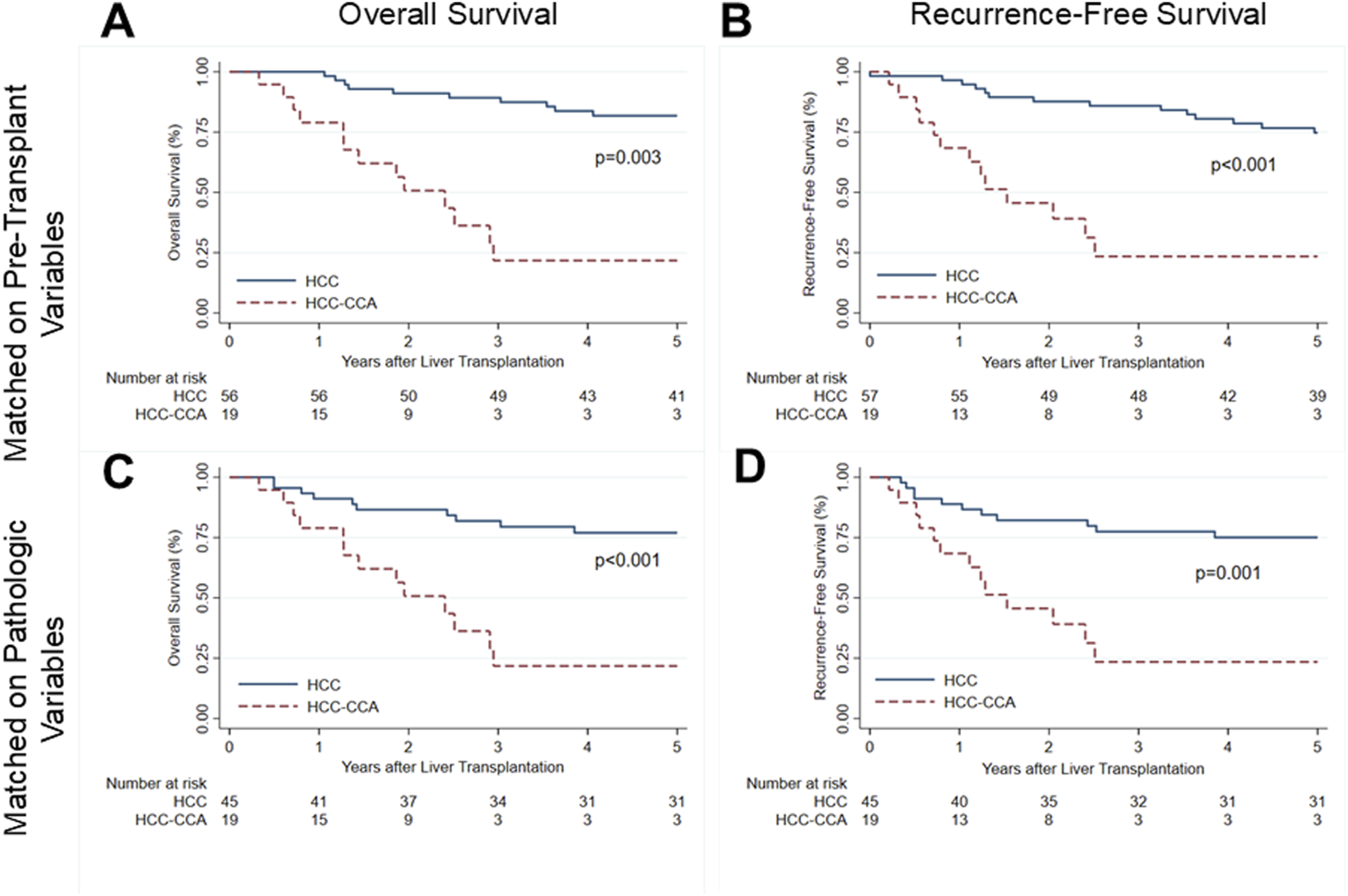 Frontiers Publishing Partnerships | Incidental Combined Hepatocellular ...